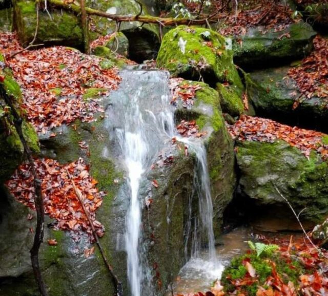 Hiking in Red River Gorge: Your Guide to the 10 Best Trails - Travel Virgin